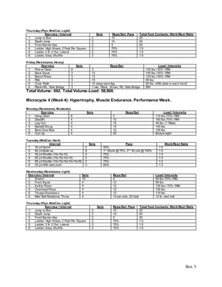 Sample Workout Program | DOCX | Physical Therapy | Wellness