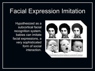 BirthofEwa_PrenatalConsciousnessPresentaiton | PPTX