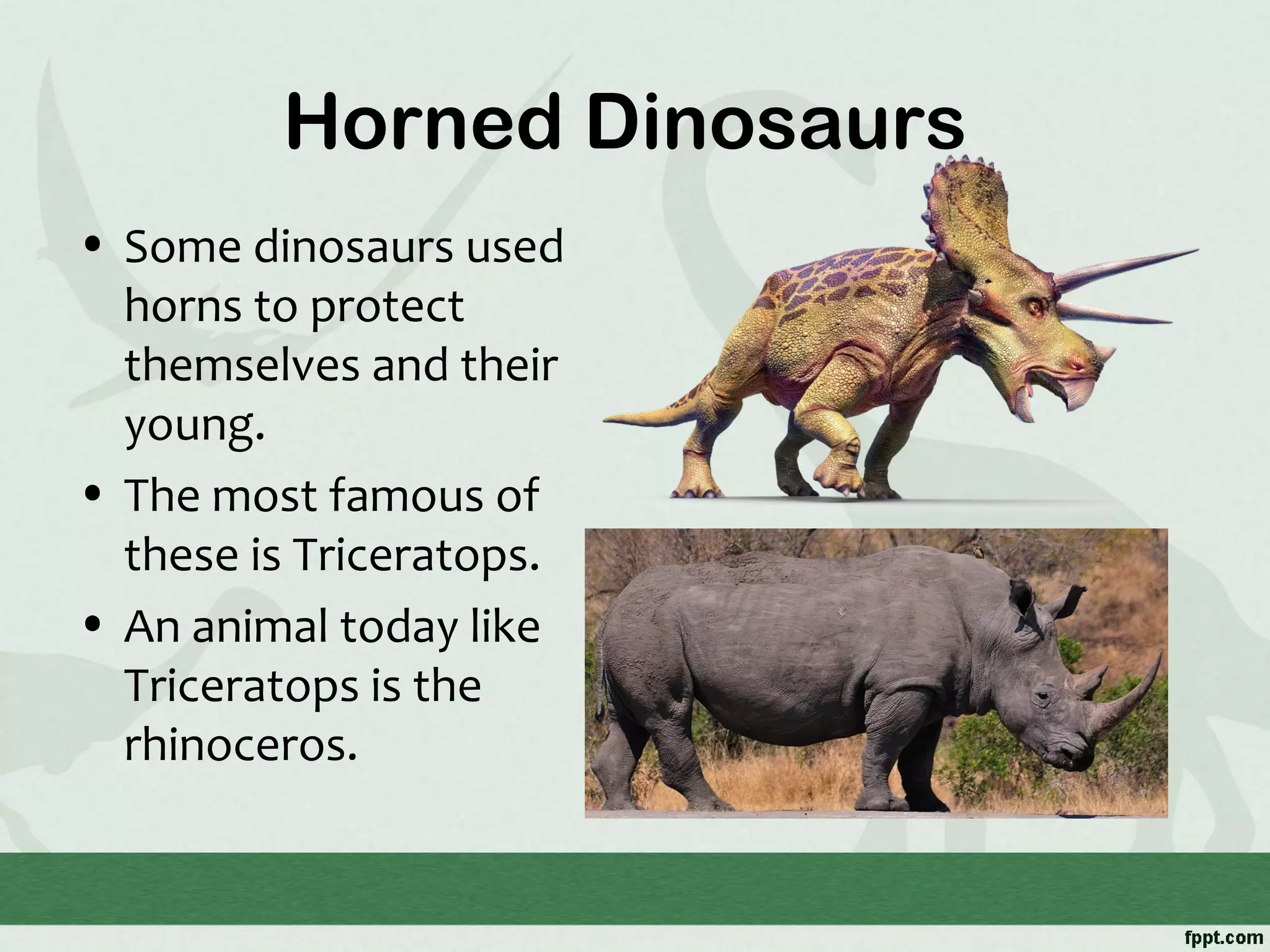Dinosaurs | PPT