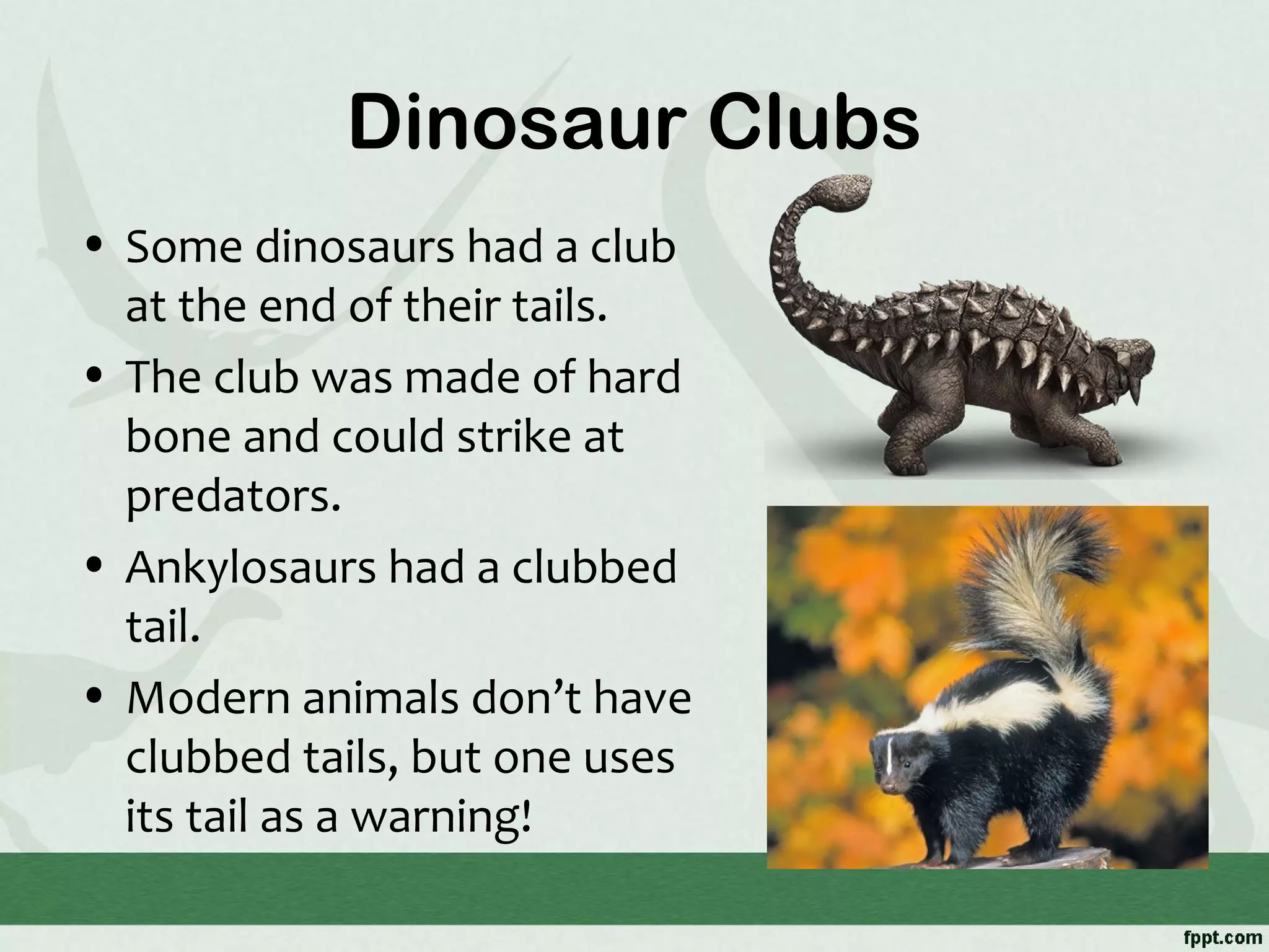 Dinosaurs | PPT