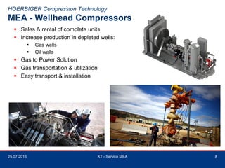 HOERBIGER Service MEA Introduction | PDF