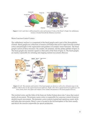EEG use during DBS | PDF
