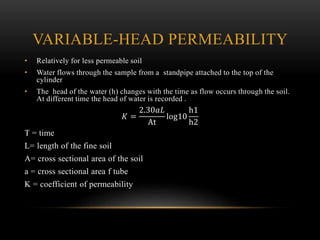 PermEability | PPTX
