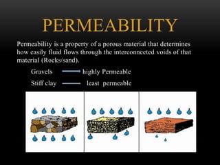 PermEability | PPTX