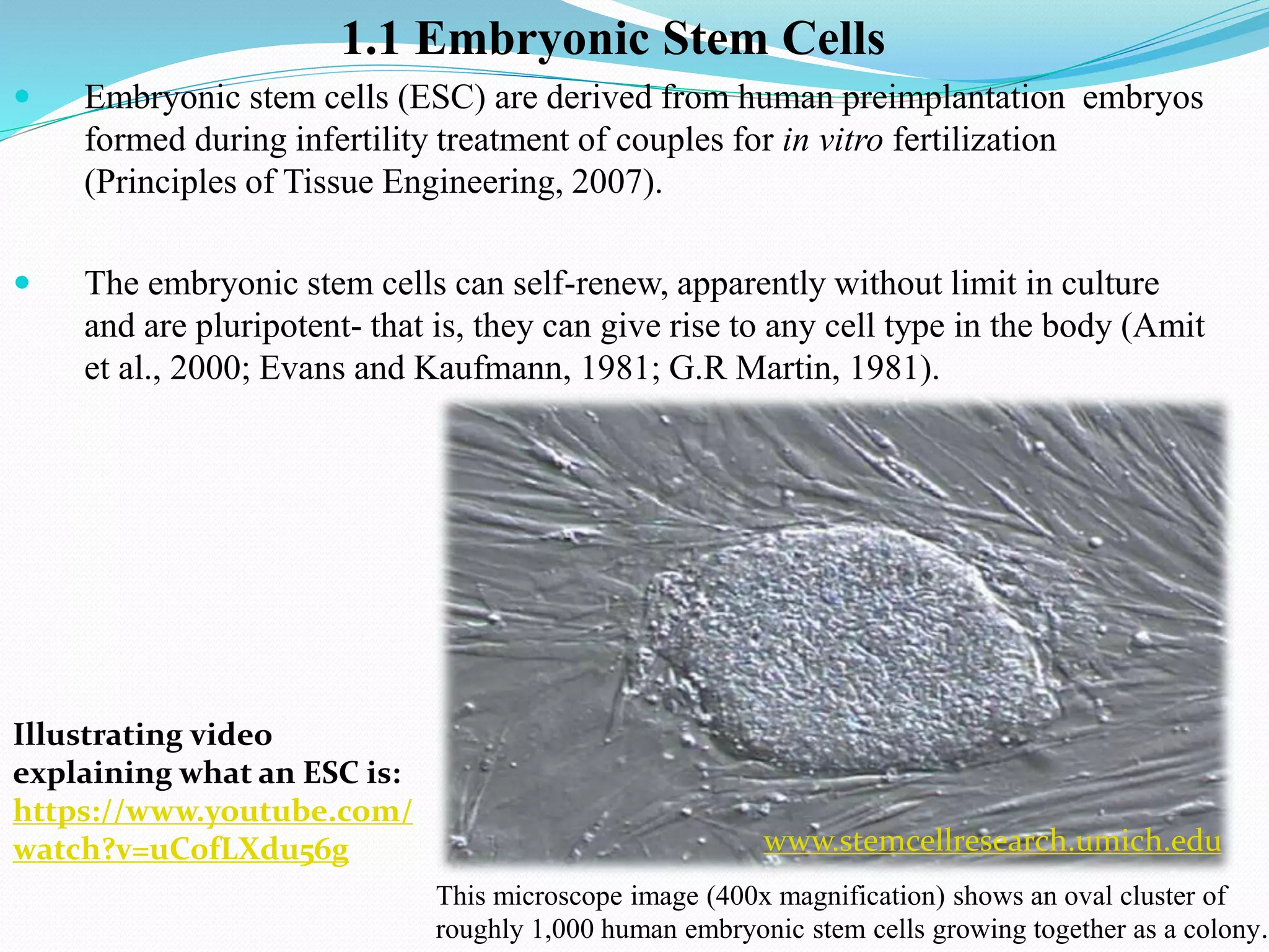 Tissue Engineering slides | PPTX