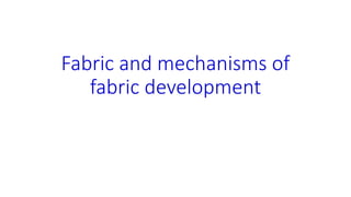 8 fabric and mechnaisim.pptx