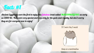 8 facts about marshmallows | PDF | Desserts and Baking | Food & Drink