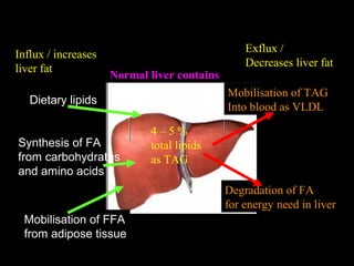 8 fatty liver and lipotropic factors | PPT