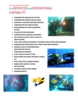 Delta Company Profile | PDF