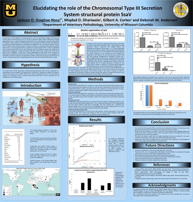 Elucidating the role of the Chromosomal Type III Secretion System ...