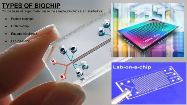 BIOCHIP 3