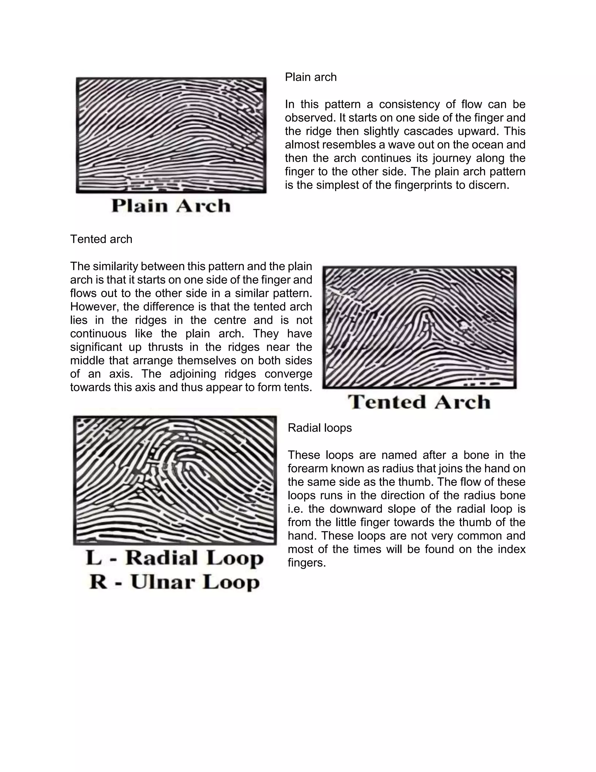 8 Fingerprint Patterns.docx