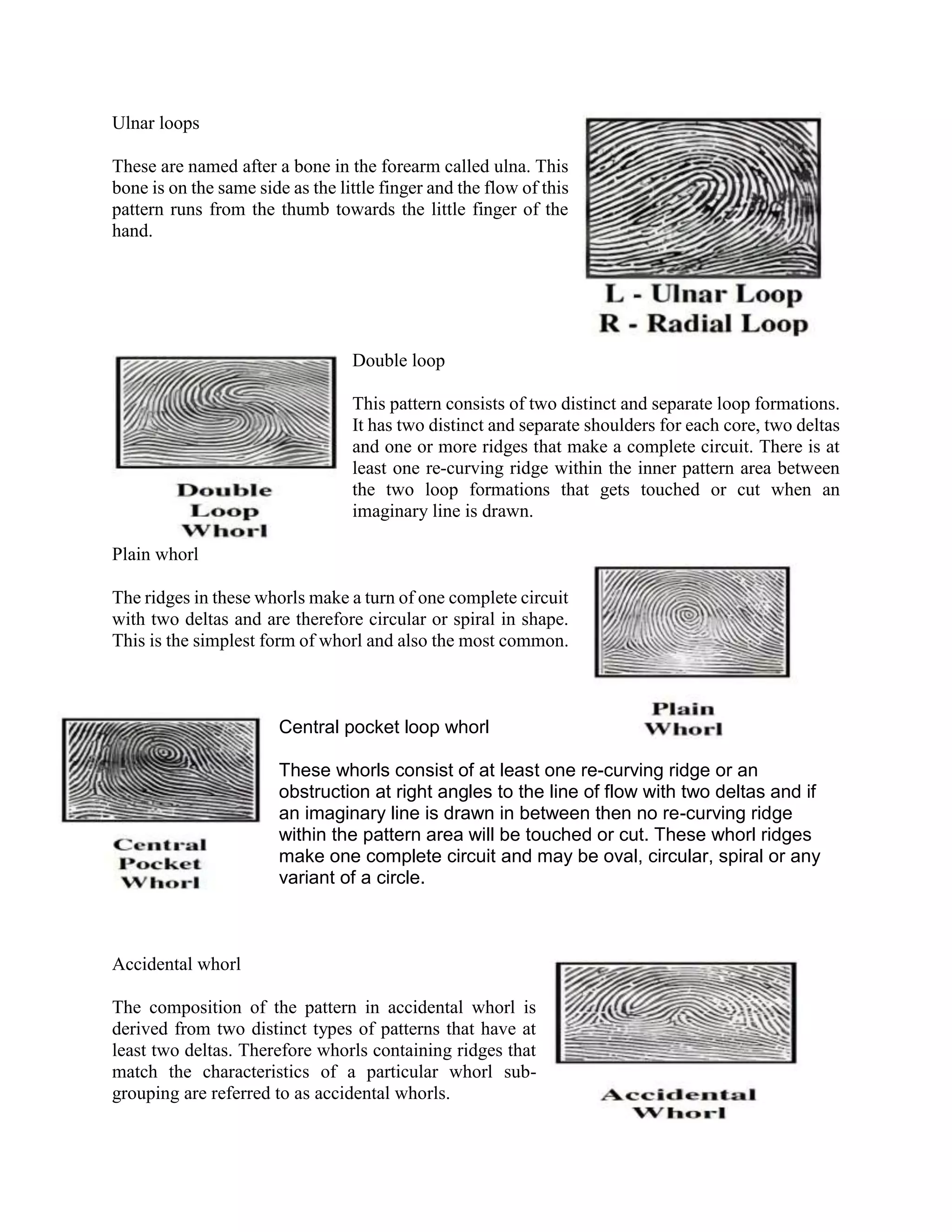 8 Fingerprint Patterns.docx