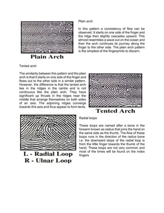 8 Fingerprint Patterns.docx