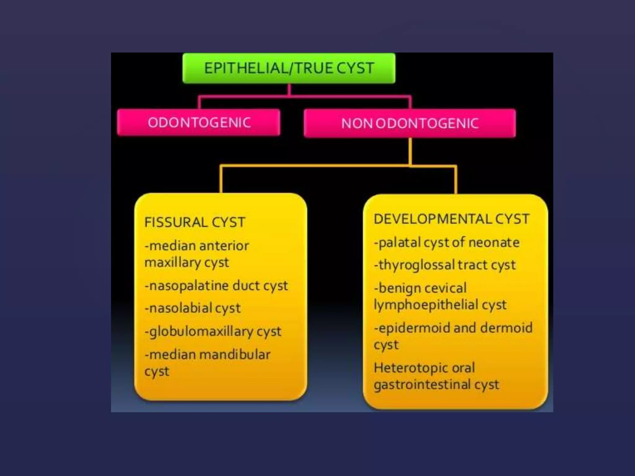 Fissural cysts of oral cavity | PPTX