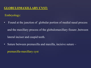 Fissural cysts of oral cavity | PPTX