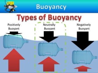 Floating & Sinking | PPT