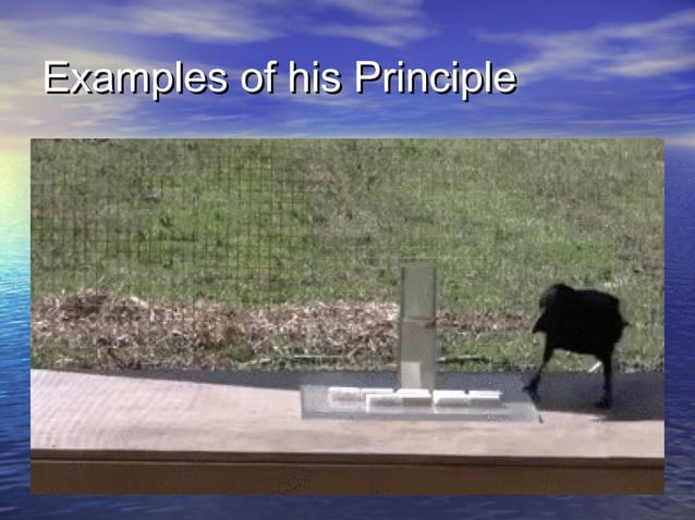 Floating & Sinking | PPT