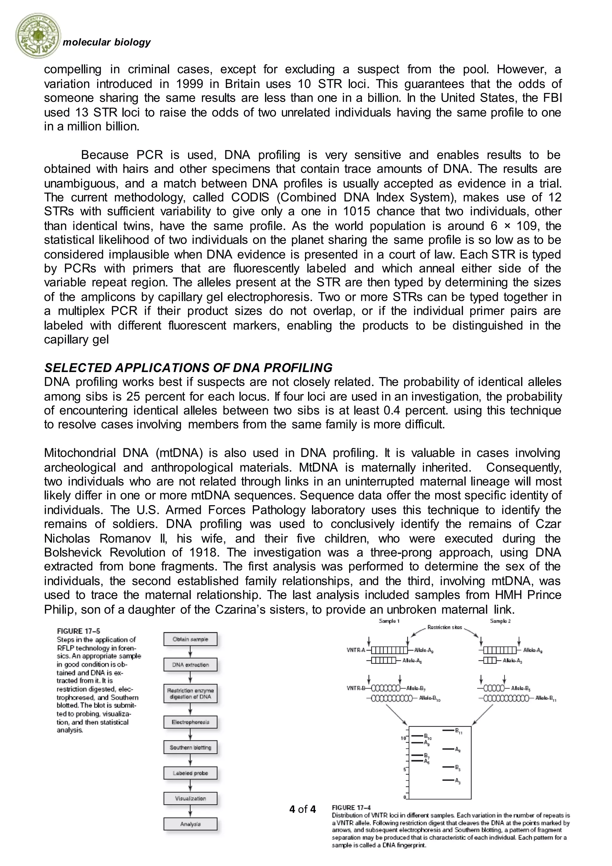 forensic molecular biology | DOC