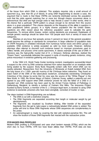 forensic molecular biology | DOC