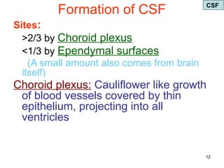 Cerebrospinal Fluid and Function of CSF in human body | PPTX