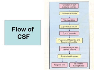 Cerebrospinal Fluid and Function of CSF in human body | PPTX