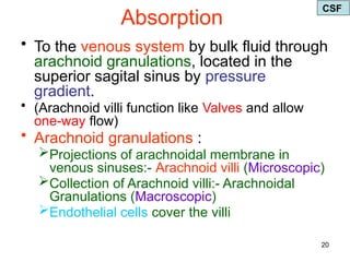 Cerebrospinal Fluid and Function of CSF in human body | PPT