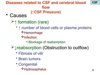 Cerebrospinal Fluid and Function of CSF in human body | PPT