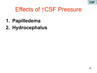 Cerebrospinal Fluid and Function of CSF in human body | PPT
