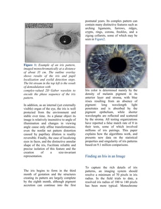 8 g iris-recognition_system | PDF