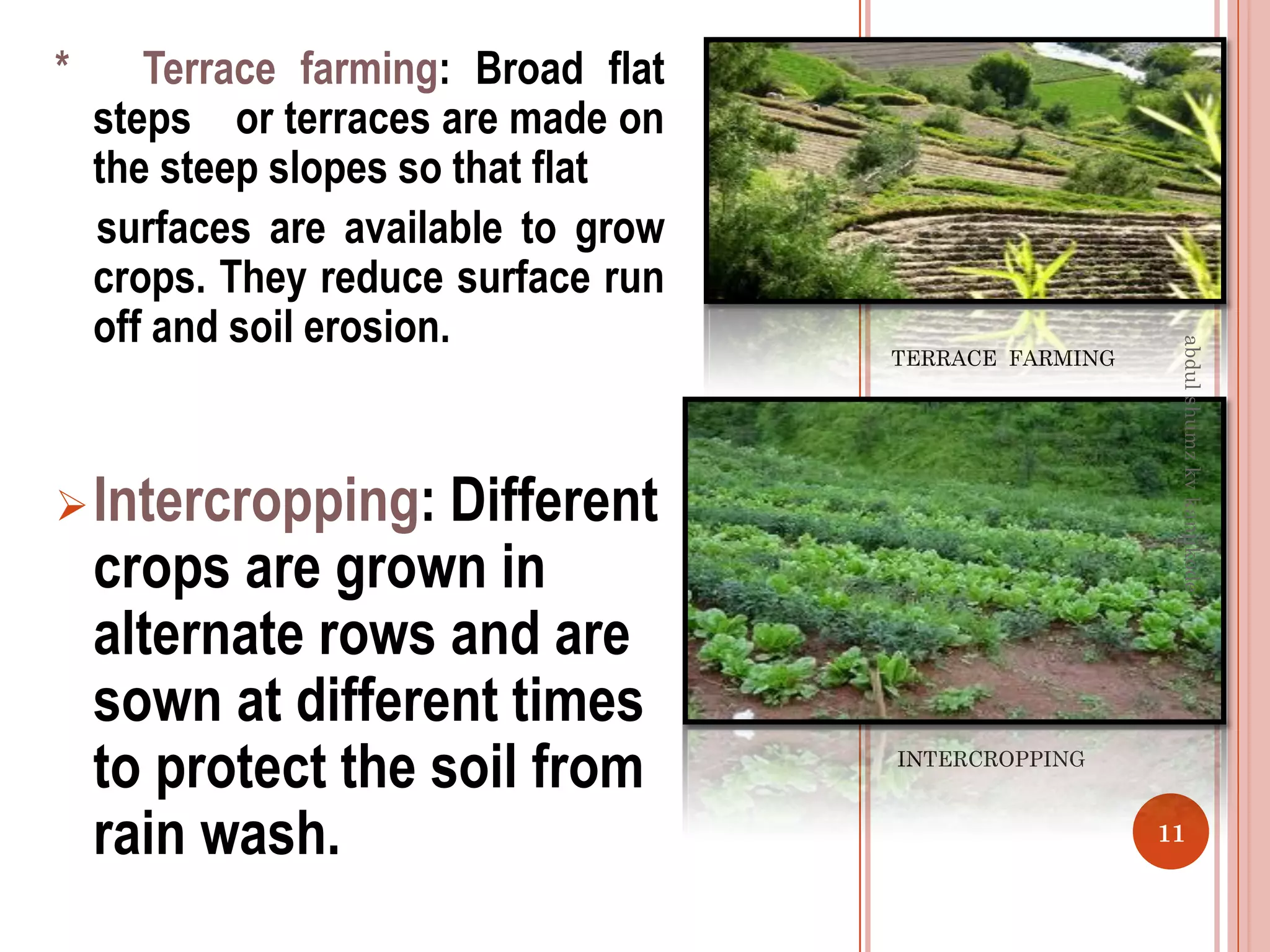 class 8 GEOGRAPHY:Land, Soil, Water, Natural Vegetation and Wildlife ...