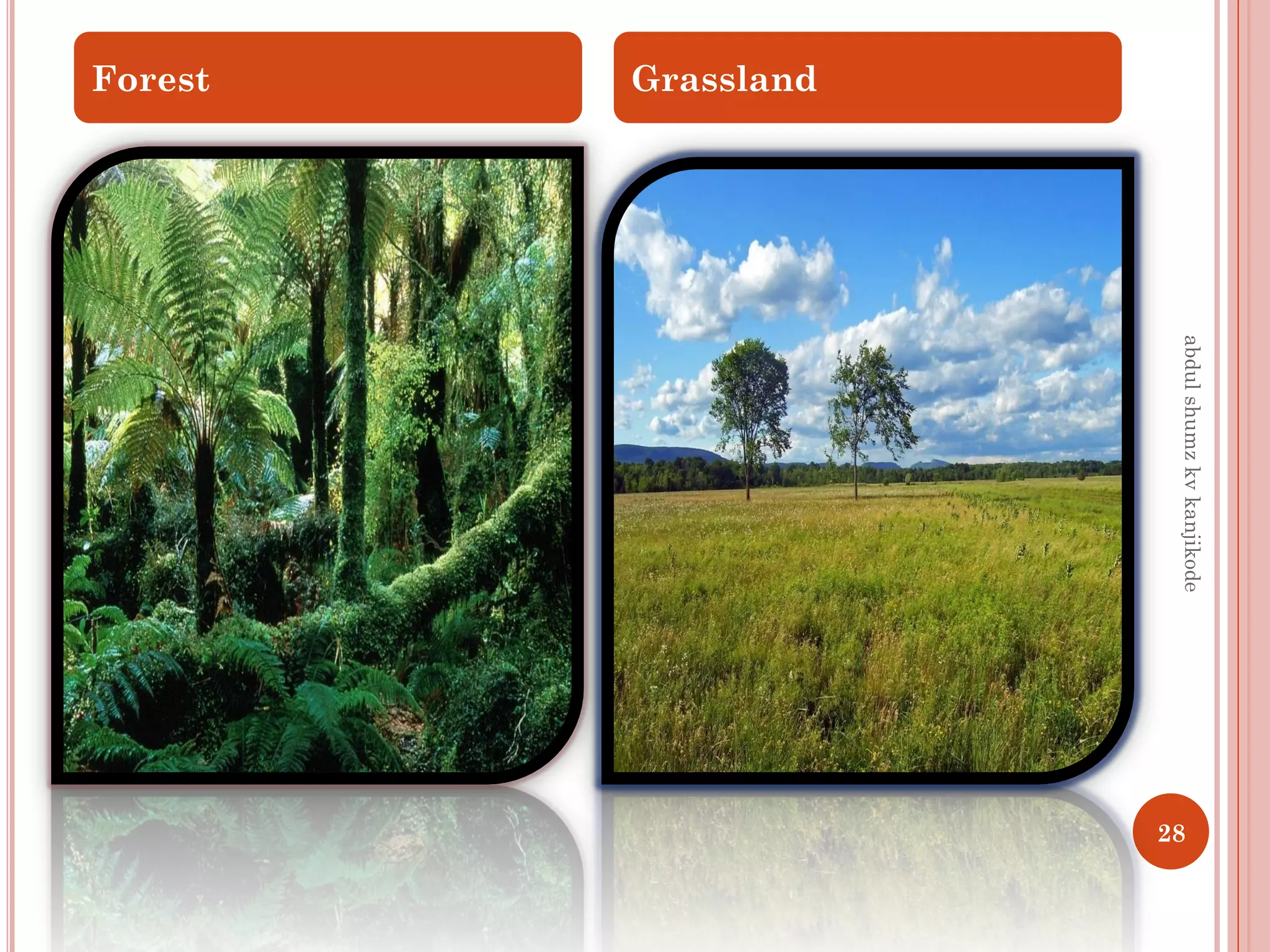 class 8 GEOGRAPHY:Land, Soil, Water, Natural Vegetation and Wildlife ...