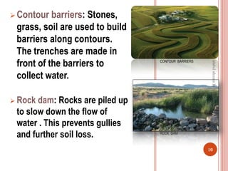 class 8 GEOGRAPHY:Land, Soil, Water, Natural Vegetation and Wildlife ...