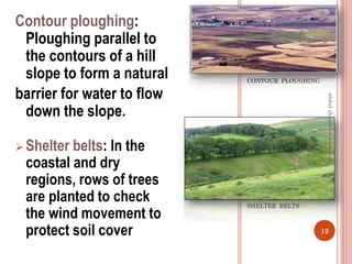 class 8 GEOGRAPHY:Land, Soil, Water, Natural Vegetation and Wildlife ...