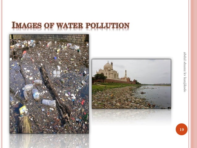 class 8 GEOGRAPHY:Land, Soil, Water, Natural Vegetation and Wildlife ...