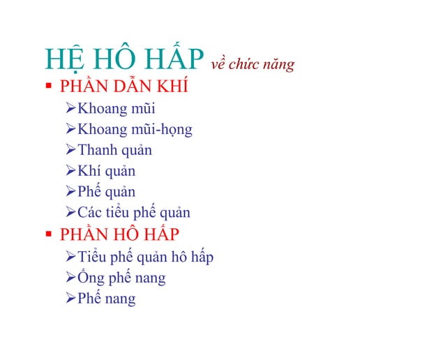 hệ hô hấp | PDF