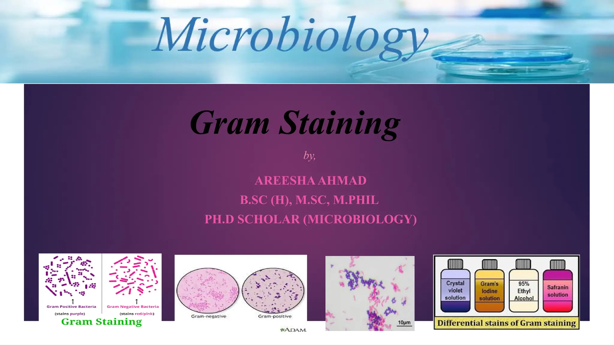 Gram Staining - Microbiology for Lab Technicians | PPTX