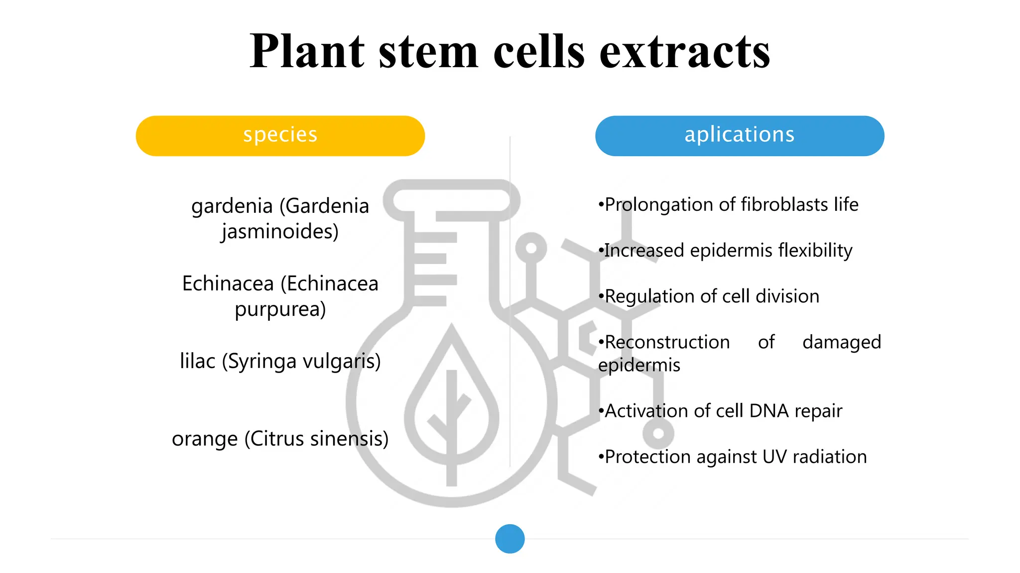 Plant stem cells in cosmetics powerpoint presentation | PPTX
