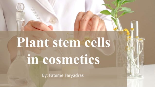 Plant stem cells in cosmetics powerpoint presentation | PPT