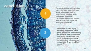 Plant stem cells in cosmetics powerpoint presentation | PPTX