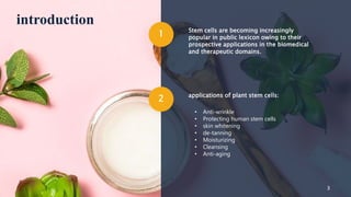 Plant stem cells in cosmetics powerpoint presentation | PPTX
