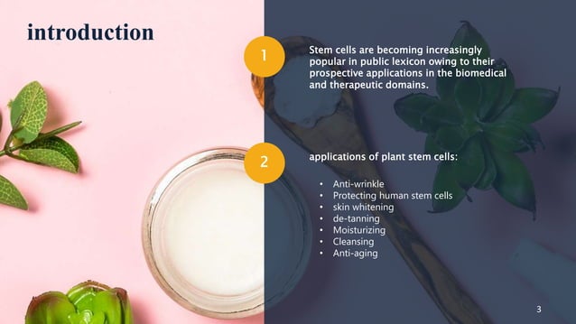 Plant stem cells in cosmetics powerpoint presentation | PPT