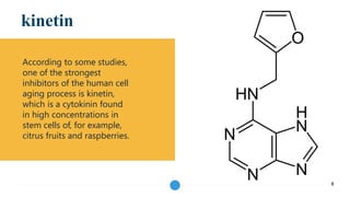 Plant stem cells in cosmetics powerpoint presentation | PPTX