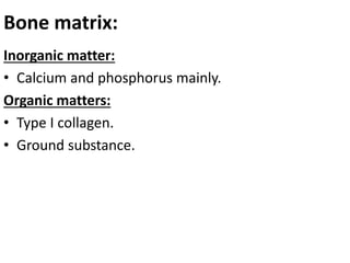 8, Histology of bone.pptx