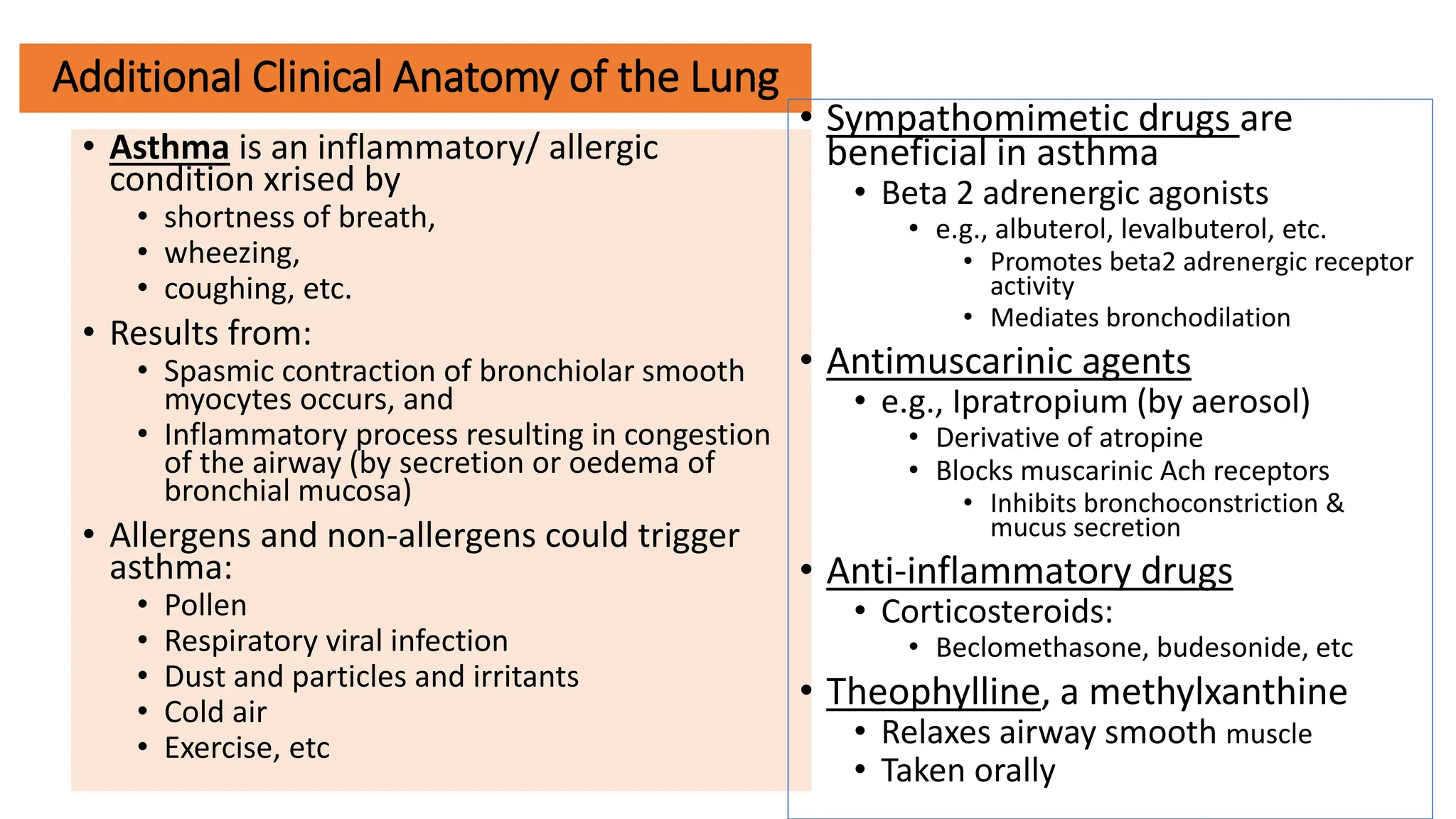 respiratory,,......8_Histology of RS.pdf
