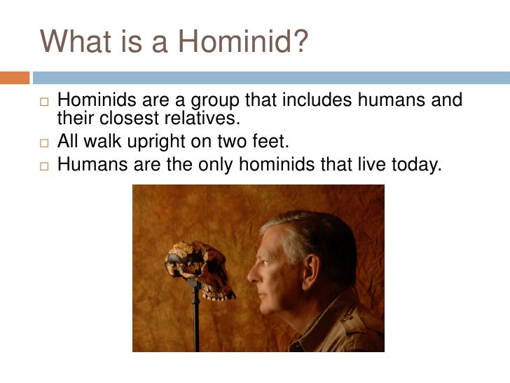 Hominids & Skills