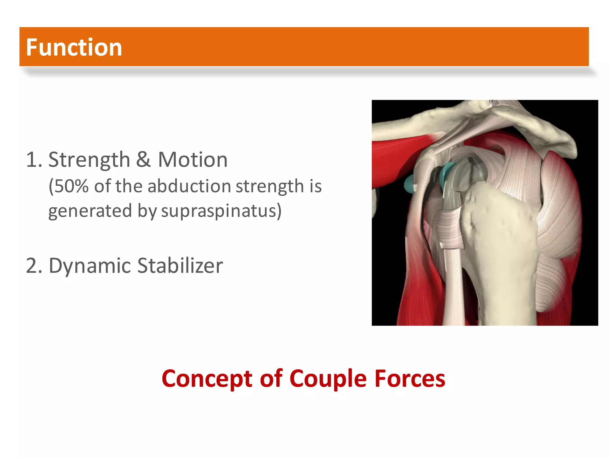Arthroscopic management of rotator cuff tears larissa 2016 | PDF