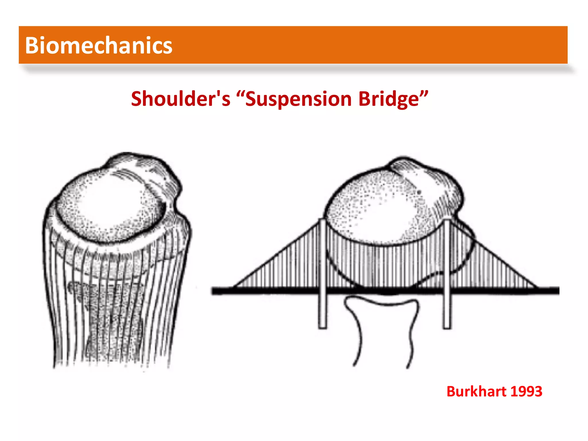 Arthroscopic management of rotator cuff tears larissa 2016 | PDF