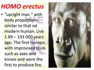 8 human origins | PPTX | Biological Sciences | Science