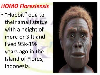 8 human origins | PPTX